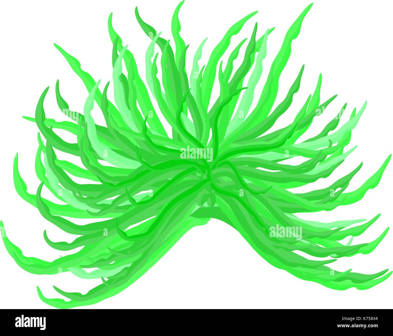 algae vector symbol icon design. Beautiful illustration isolated on ...