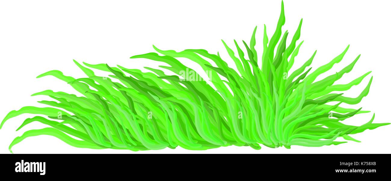 algae vector symbol icon design. Beautiful illustration isolated on ...