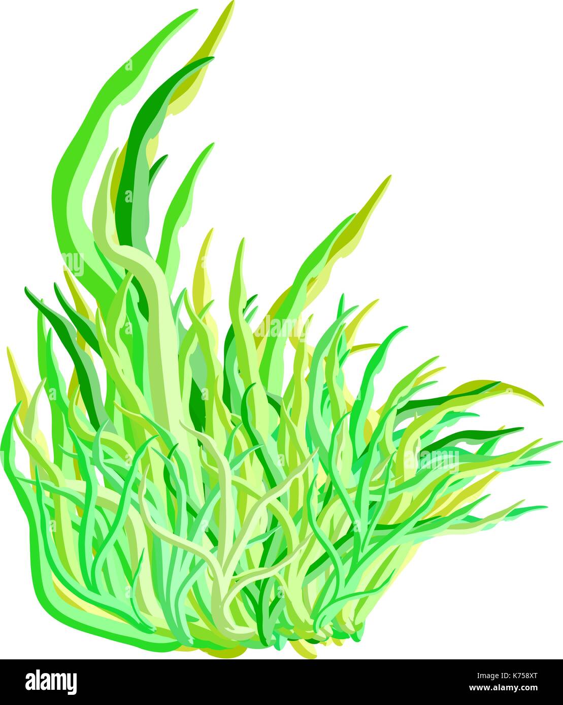 algae vector symbol icon design. Beautiful illustration isolated on ...