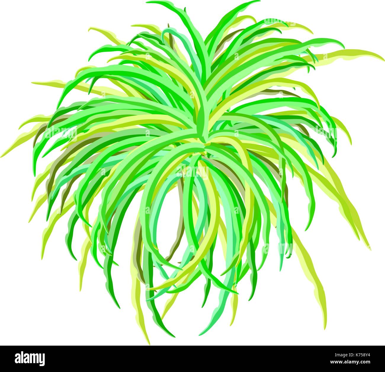 algae vector symbol icon design. Beautiful illustration isolated on ...