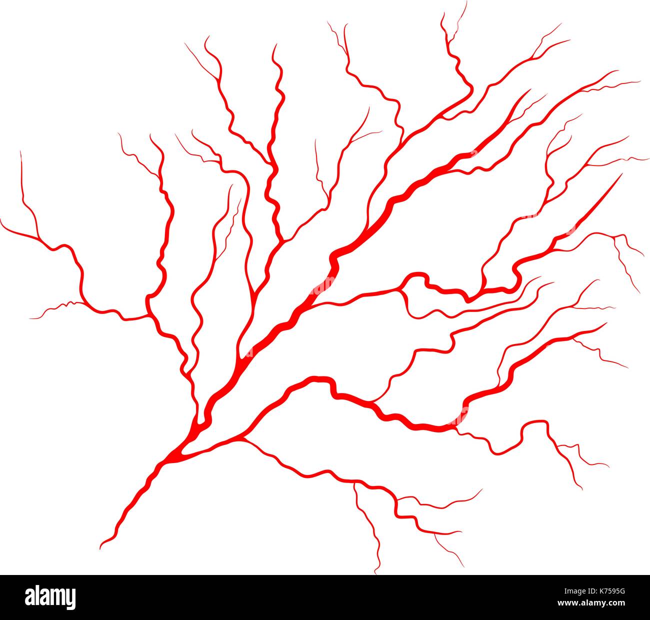 eye vein vector symbol icon design. Beautiful illustration isolated on ...