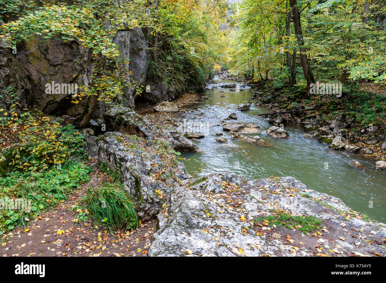 Rocky cliff along a stream in a gorge of colorful autumn foliage ...