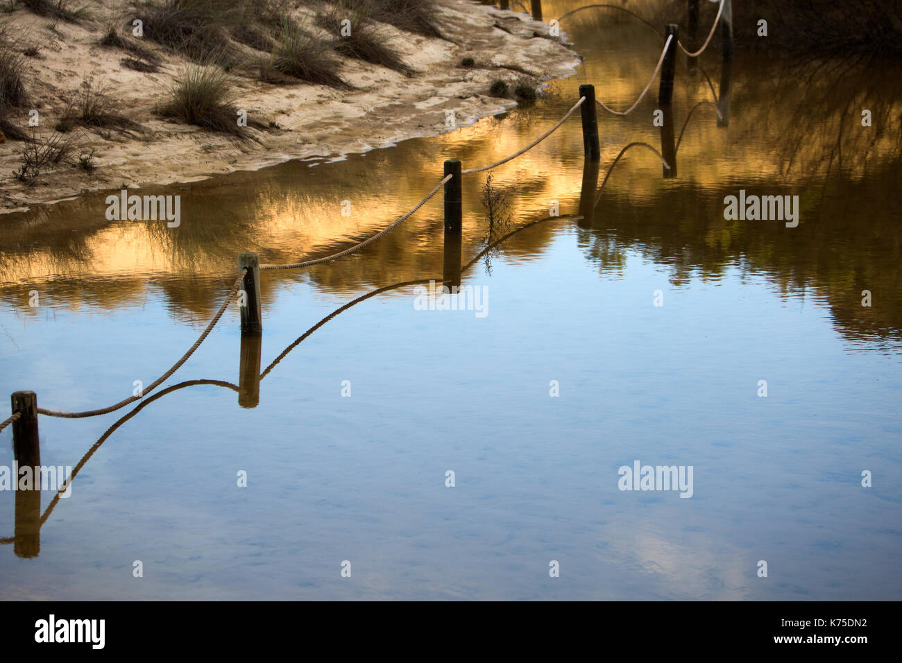 Sand dunes after rain hi-res stock photography and images - Alamy