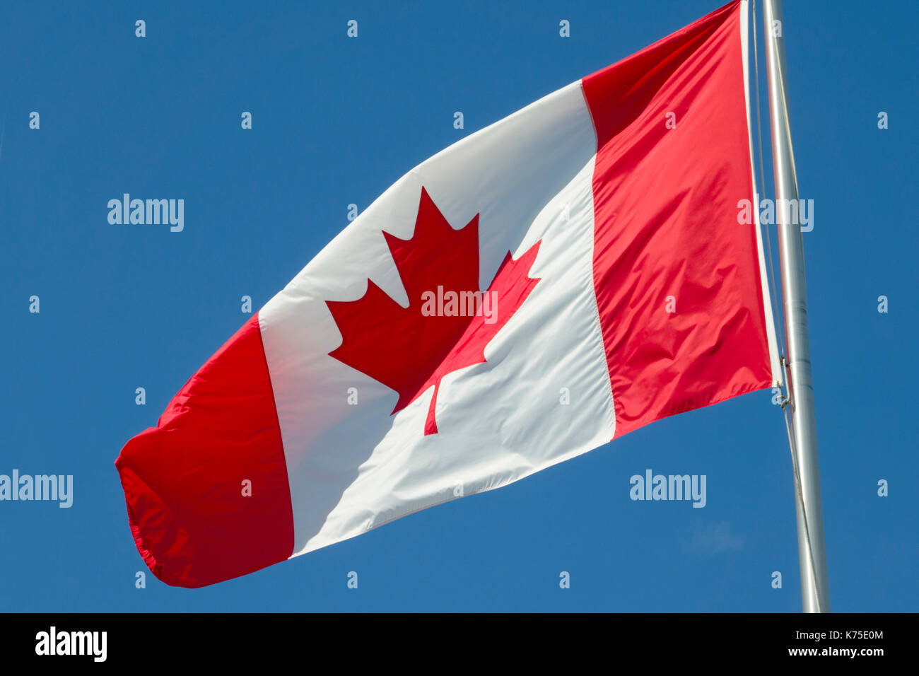 Maple leaf flag hi-res stock photography and images - Alamy