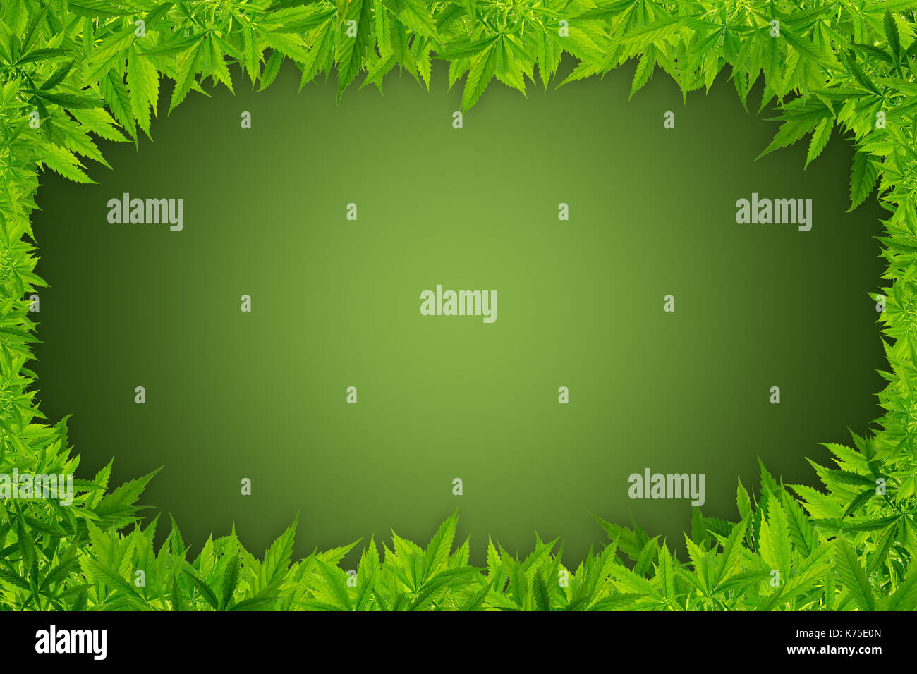 Marijuana frame with blank space Stock Photo - Alamy