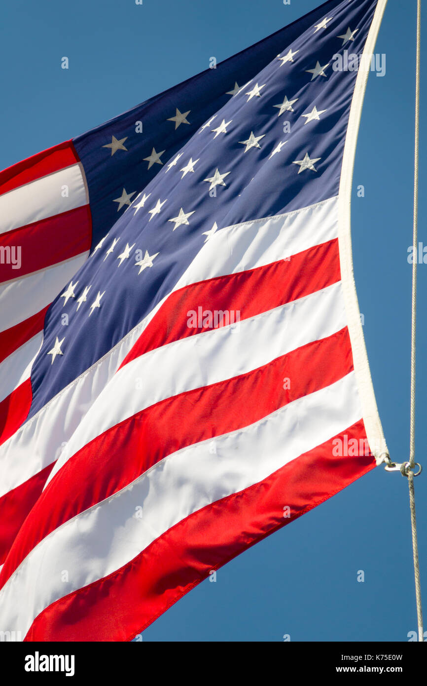 Blue flag logo hi-res stock photography and images - Alamy