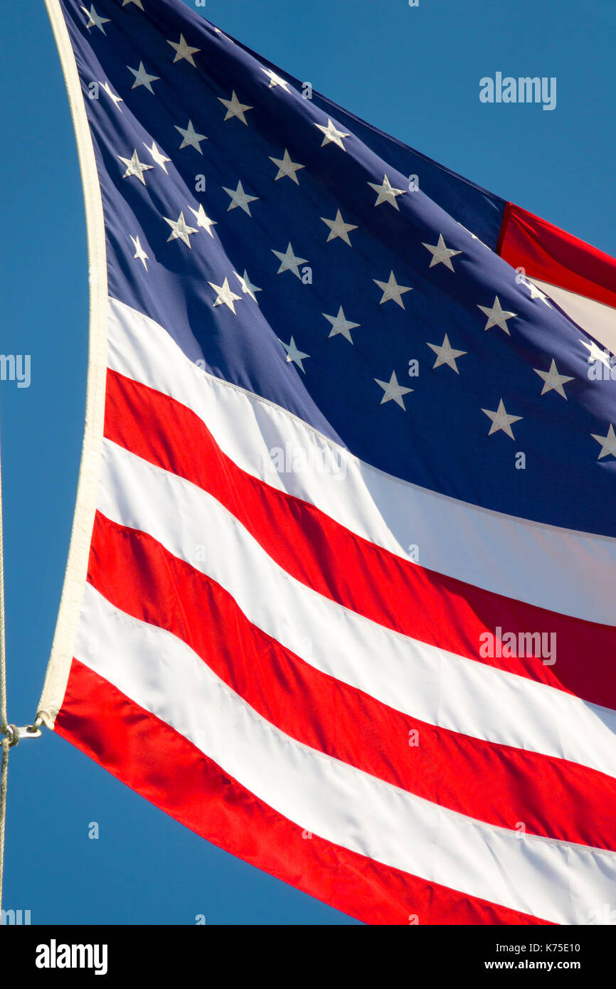 Blue flag logo hi-res stock photography and images - Alamy