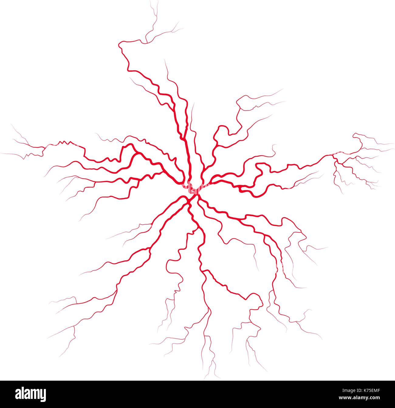vein blood system vector symbol icon design. Beautiful illustration ...