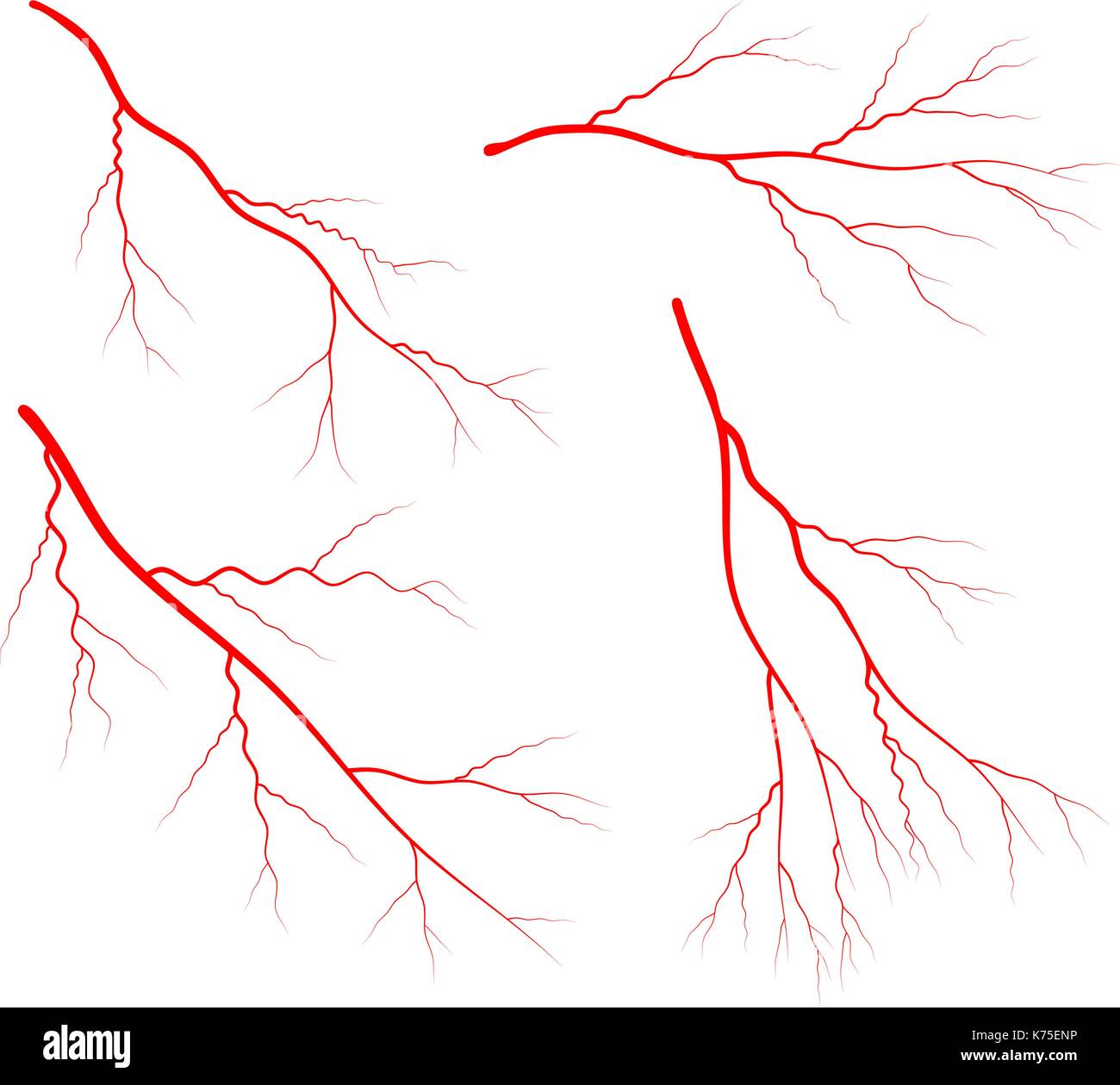 vein blood set vector symbol icon design. Beautiful illustration ...