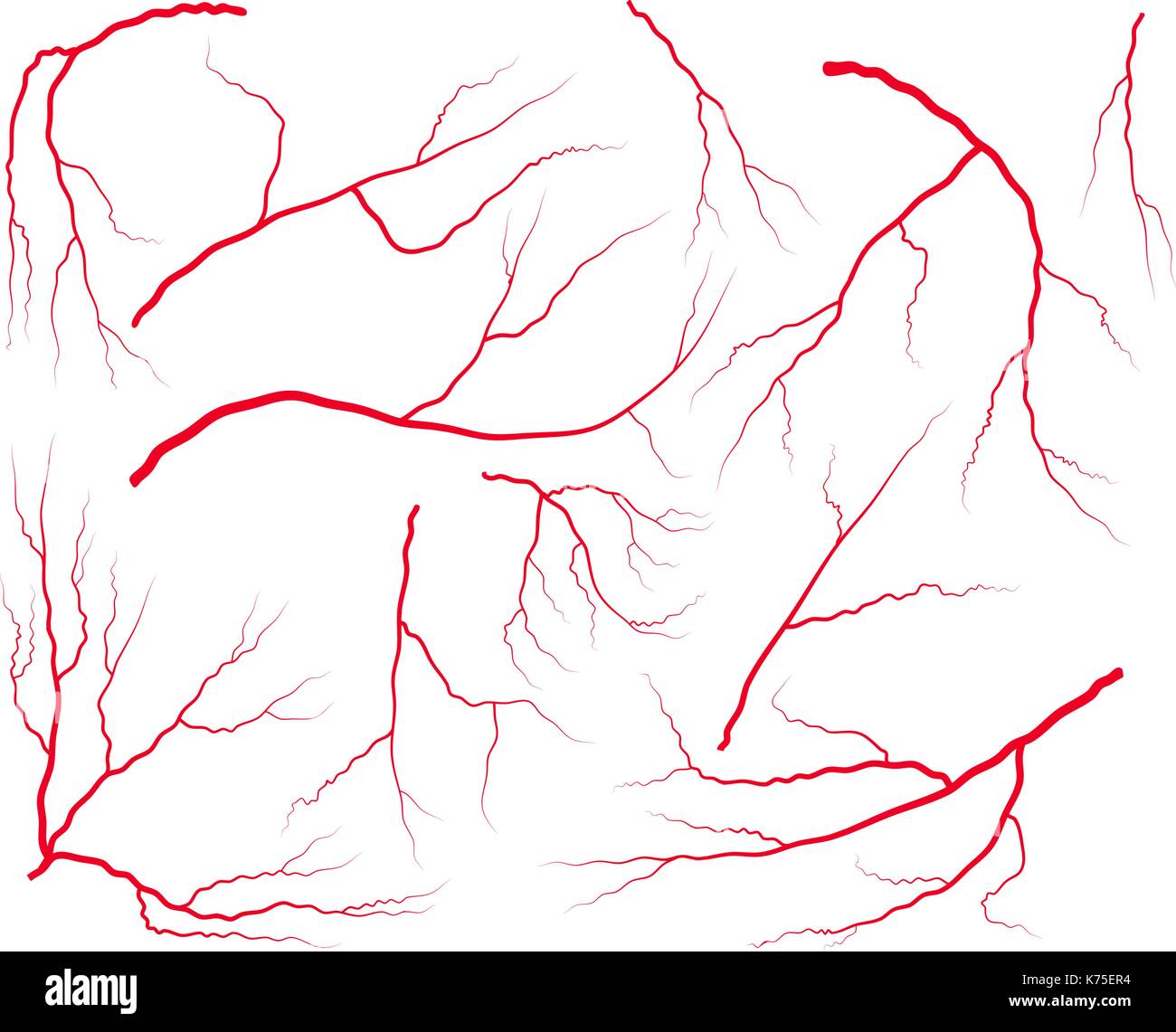 vein blood set vector symbol icon design. Beautiful illustration ...