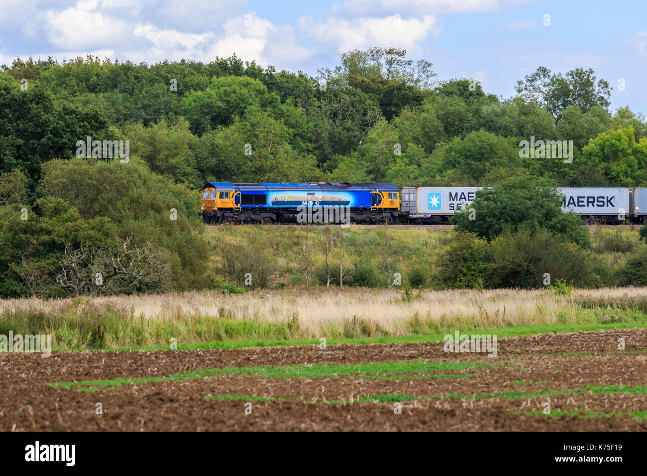Msc shipping livery hi-res stock photography and images - Alamy