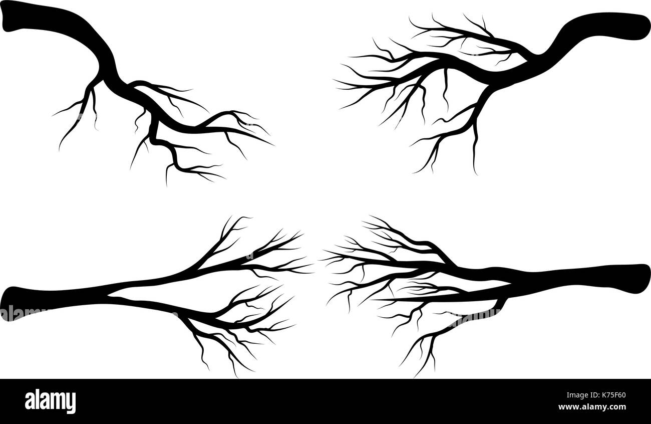 bare branch set vector symbol icon design. Beautiful illustration ...