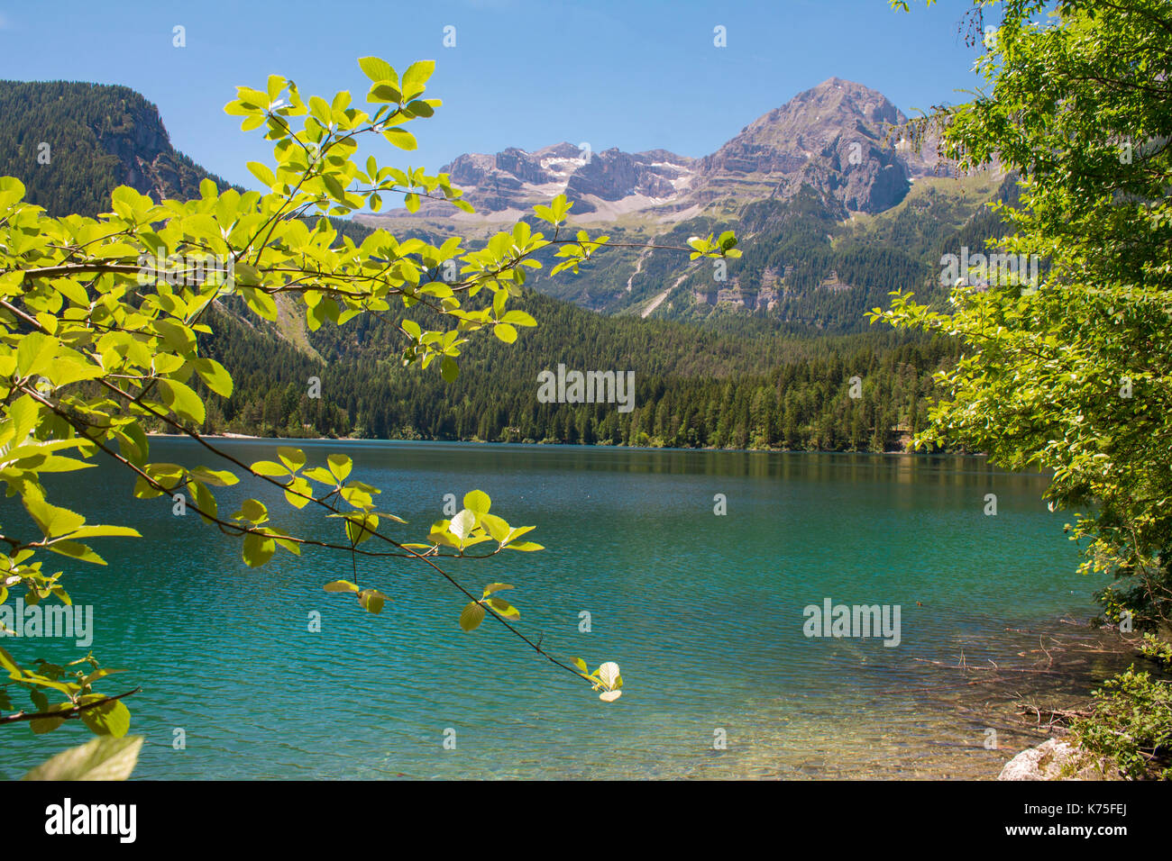Cles trentino hi-res stock photography and images - Alamy