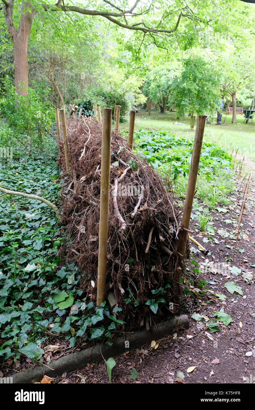 Dead hedge hi-res stock photography and images - Alamy