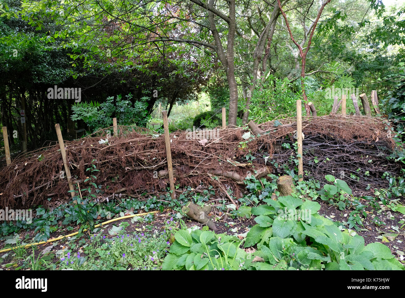 Dead hedge hi-res stock photography and images - Alamy