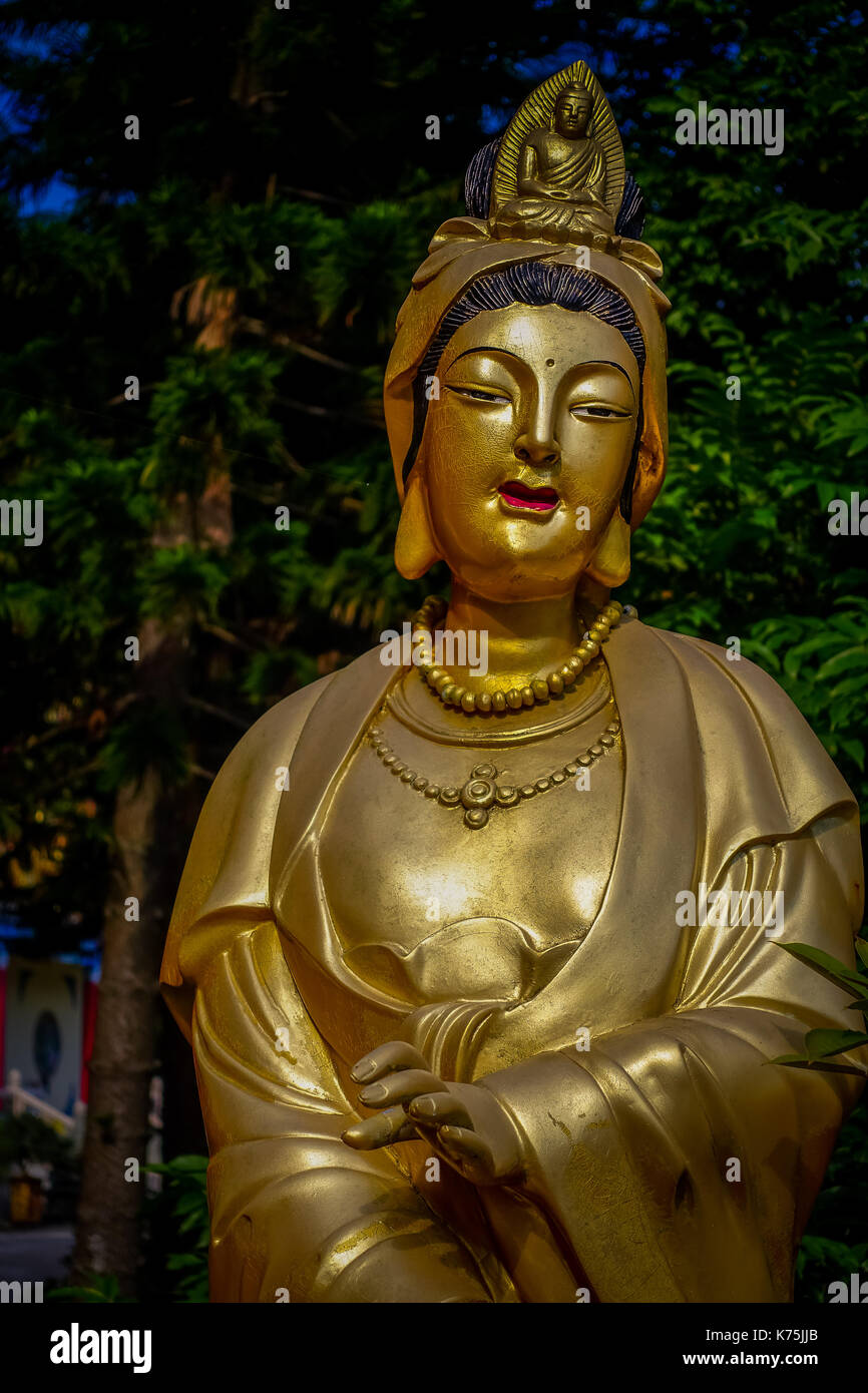 Impressive golden statues at Ten Thousand Buddhas Monastery in Sha Tin ...