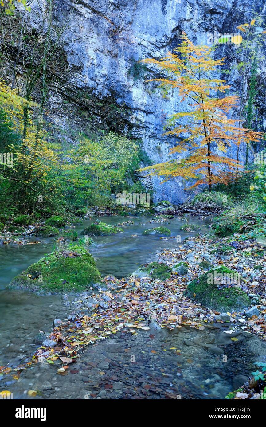 France, Drome, Ombleze, Gorges of Ombleze, river La Gervanne Stock ...