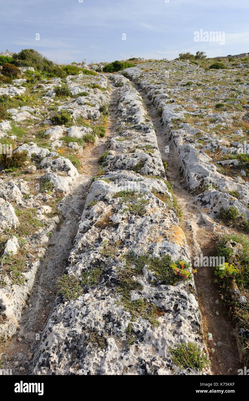 Malta, Siggiewi, Cart-Ruts, deep ruts that mark the rocky surface and ...