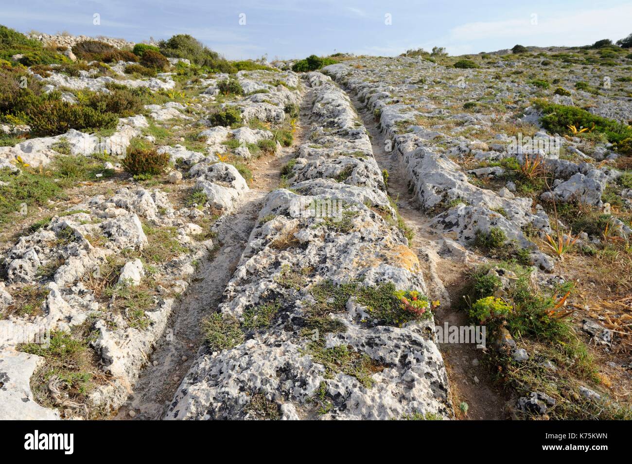 Malta, Siggiewi, Cart-Ruts, deep ruts that mark the rocky surface and ...