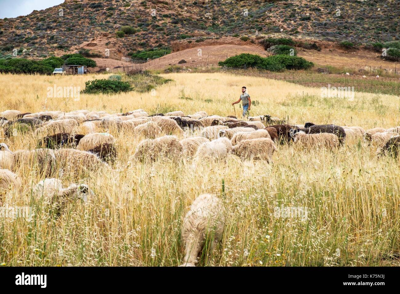 Shepherd crete greece hi-res stock photography and images - Alamy