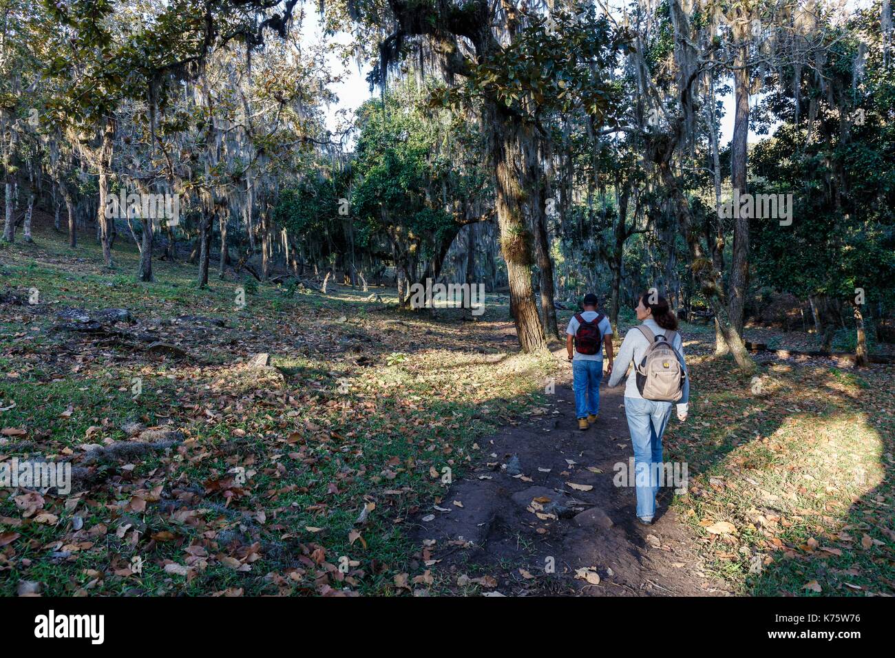 Nicaragua, Esteli province, La Cebollal, Miraflor natural reserve, walk ...