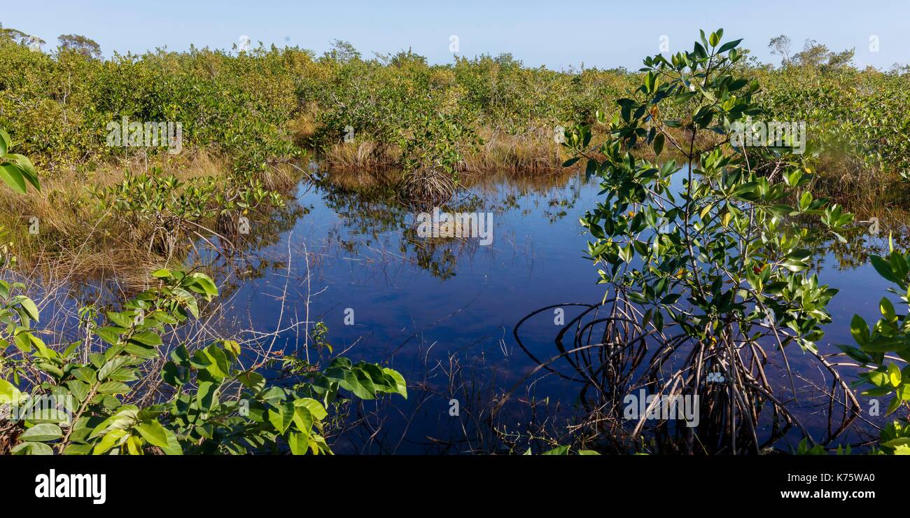 Nicaragua, south Caribbean coast autonomous region, Pearl Lagoon ...