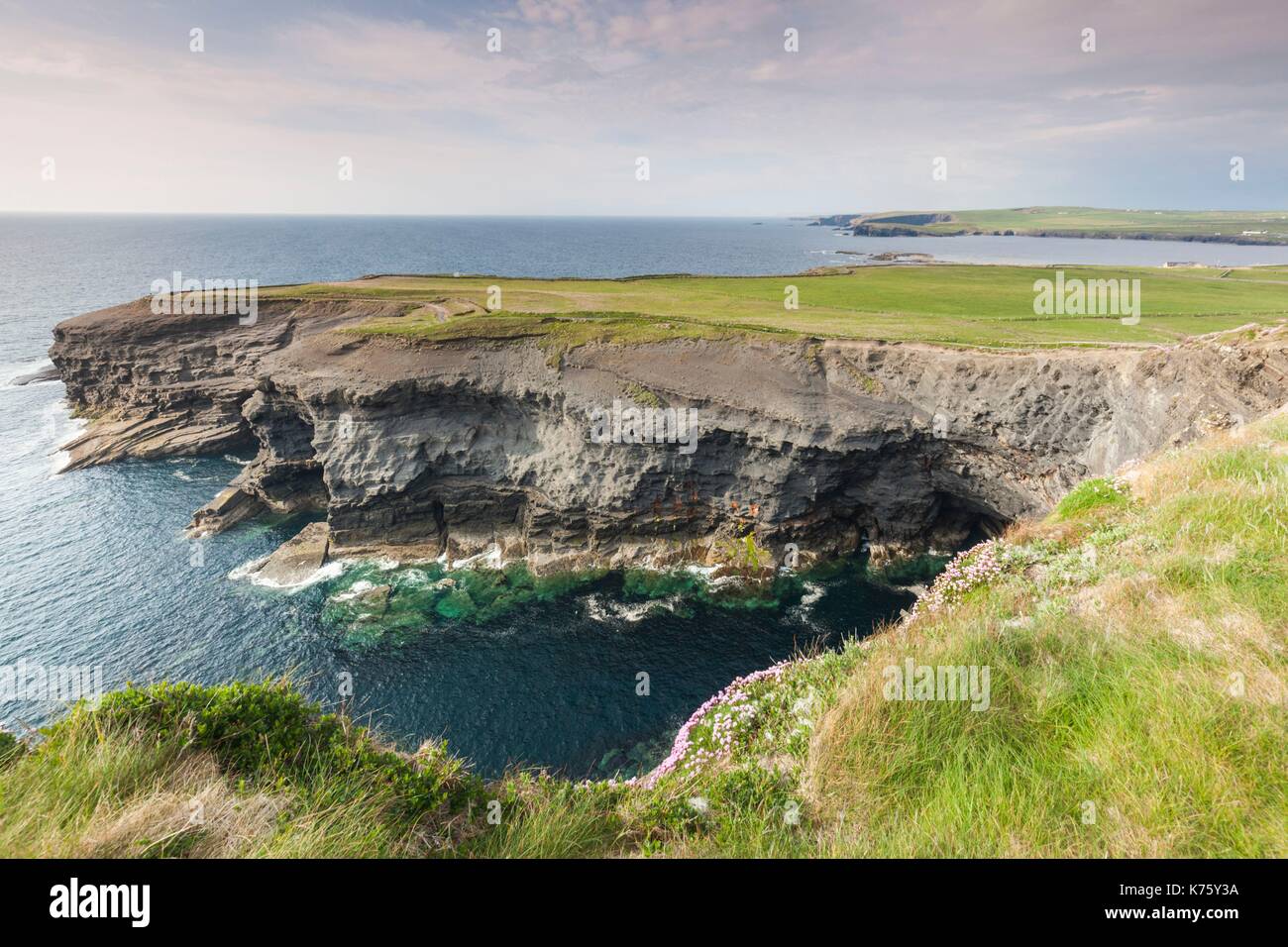 Ireland, County Clare, Kilkee, coastal cliffs Stock Photo - Alamy