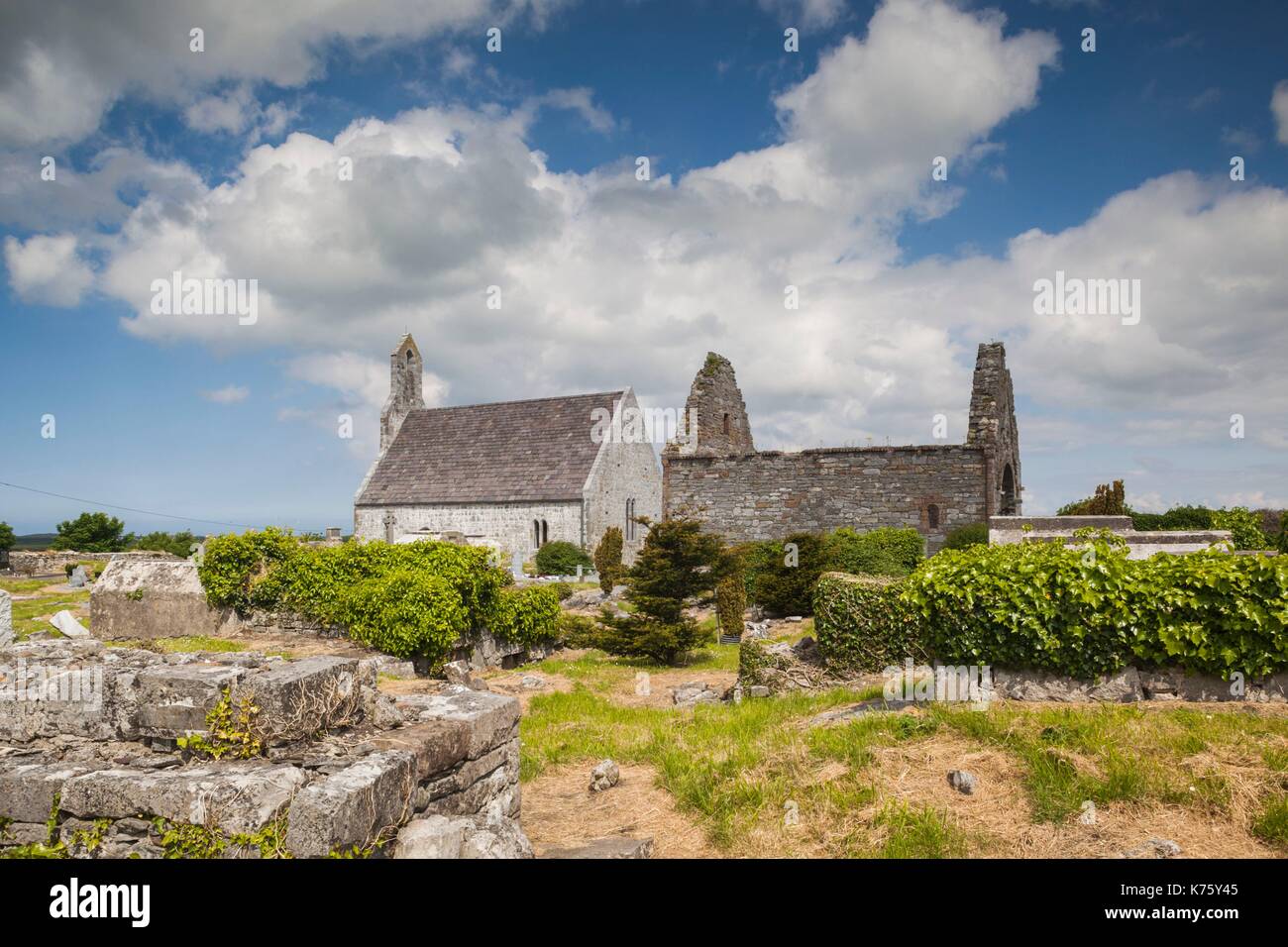 Ireland, County Kerry, Ardfert, Ardfert Cathedral, 13th century Stock ...