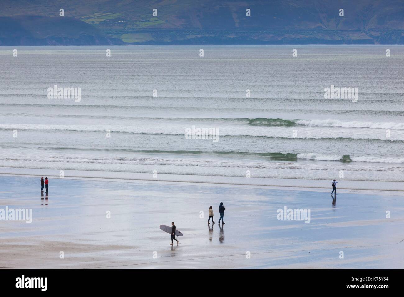 Ireland, County Kerry, Dingle Peninsula, Inch Strand, beach Stock Photo ...