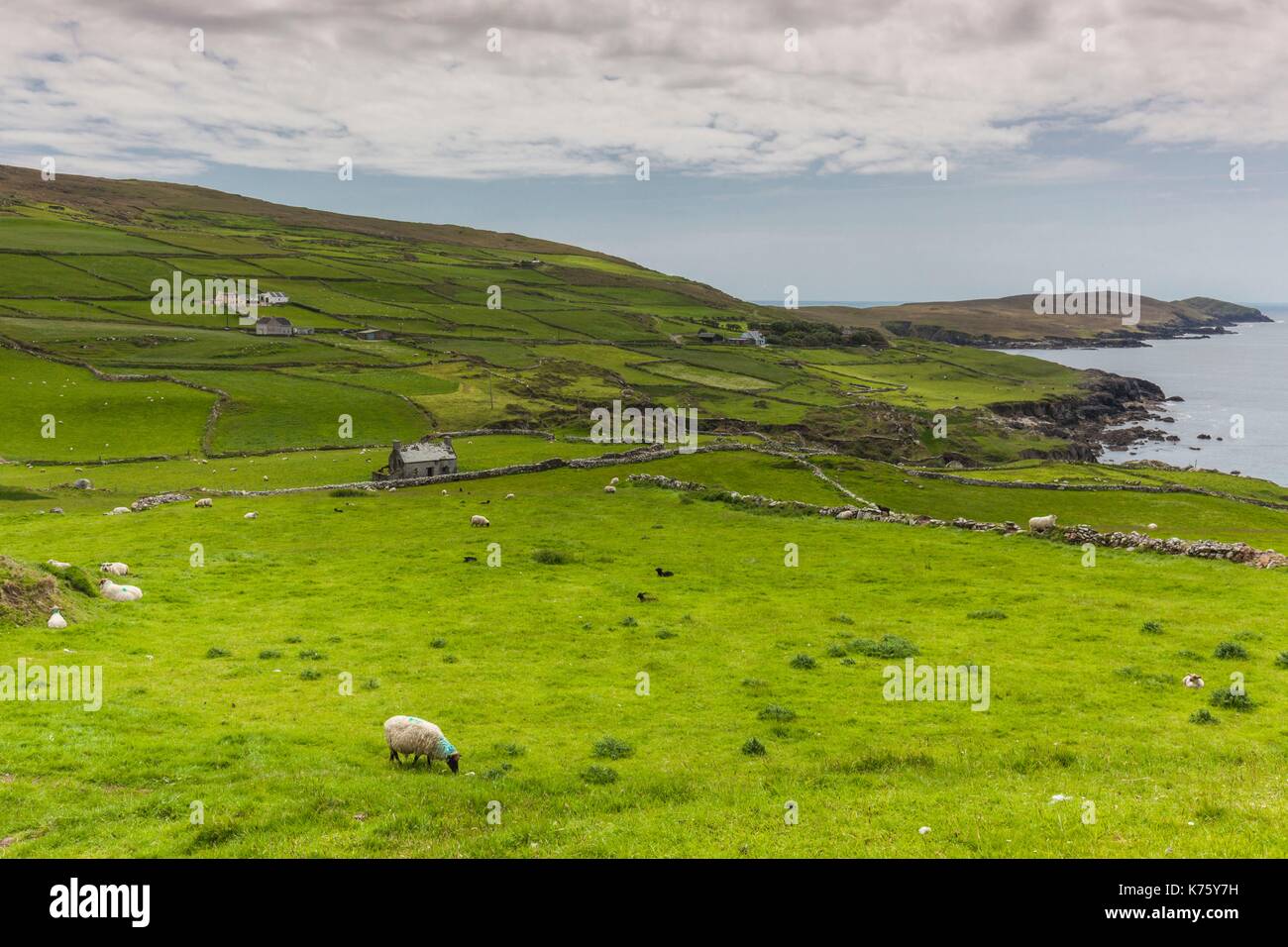Ireland, County Cork, Beara Peninsula, Ring of Beara, Cahermore ...