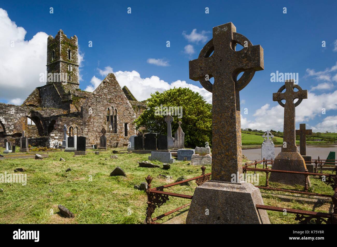 Ireland, County Cork, Timoleague, Tomoleague Abbey ruins, 13th century ...