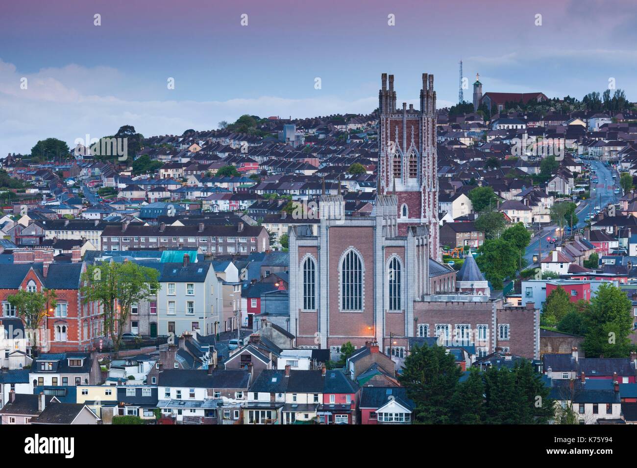 Ireland, County Cork, Cork City, St. Mary's Cathedral, elevated view ...