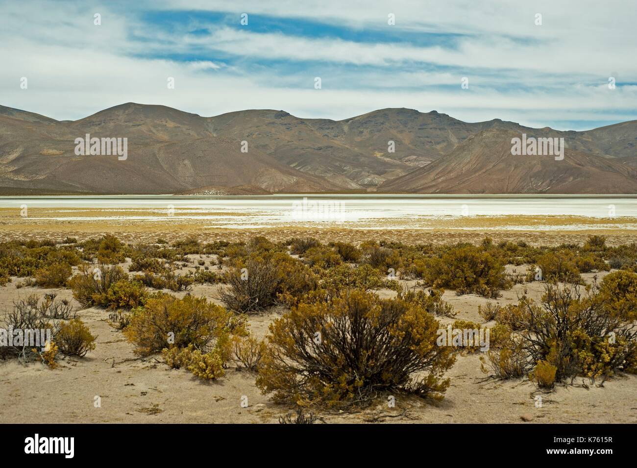 Macaya national park hi-res stock photography and images - Alamy