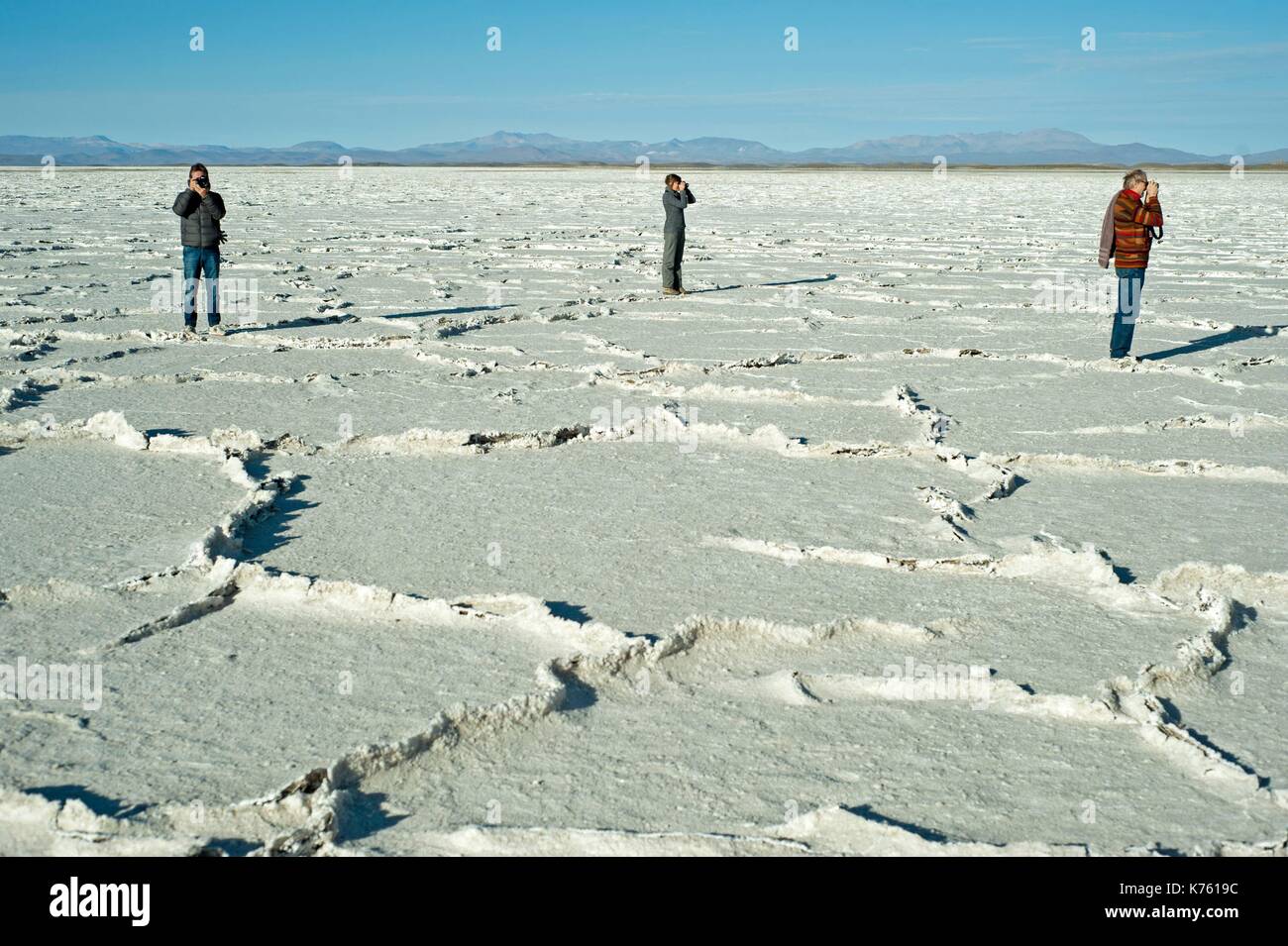 Bolivia, Coipasa, turists in Salar de Coipasa Stock Photo - Alamy