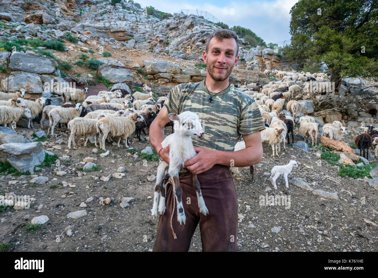 Greece, Eastern Crete, Lassithi district, Lassithi plateau, Shepherd ...