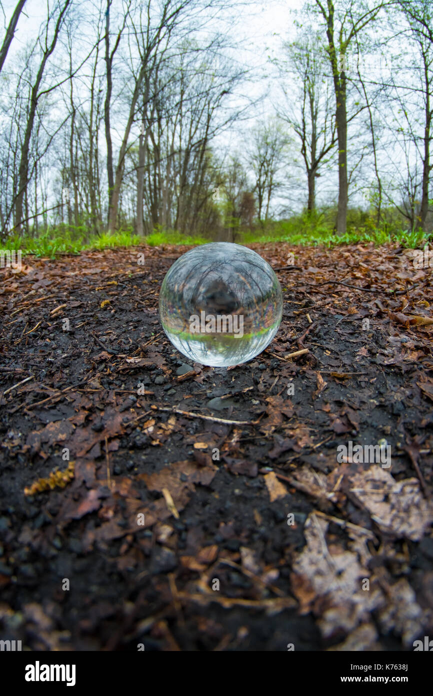 Fortune tellers magic glass crystal ball in spring forest Stock Photo ...