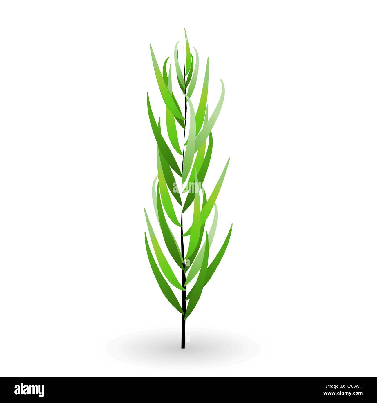 Colorful naturalistic green leaves on branch. Vector Illustration Stock ...