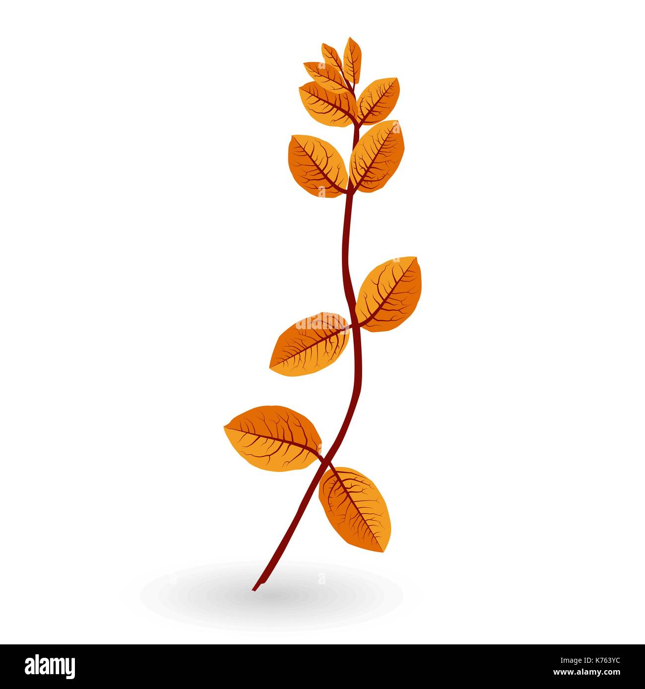 Colorful naturalistic green leaves on branch. Vector Illustration Stock ...