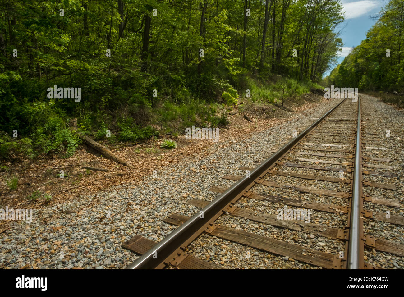 Train tracks landscape on bright summer day with green trees Stock ...