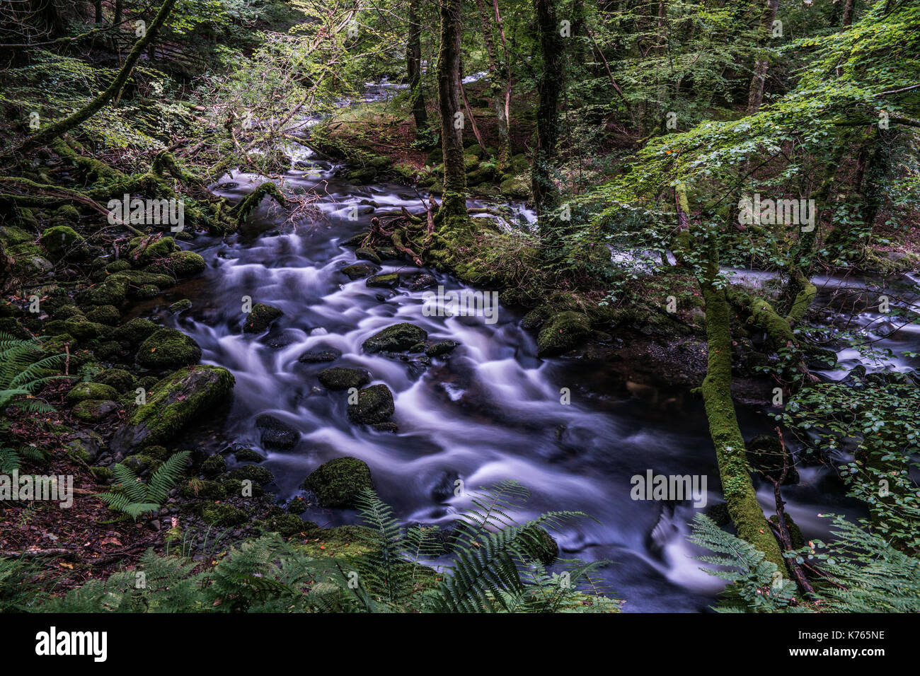 Fast flowing stream in a wood in North Wales Stock Photo - Alamy