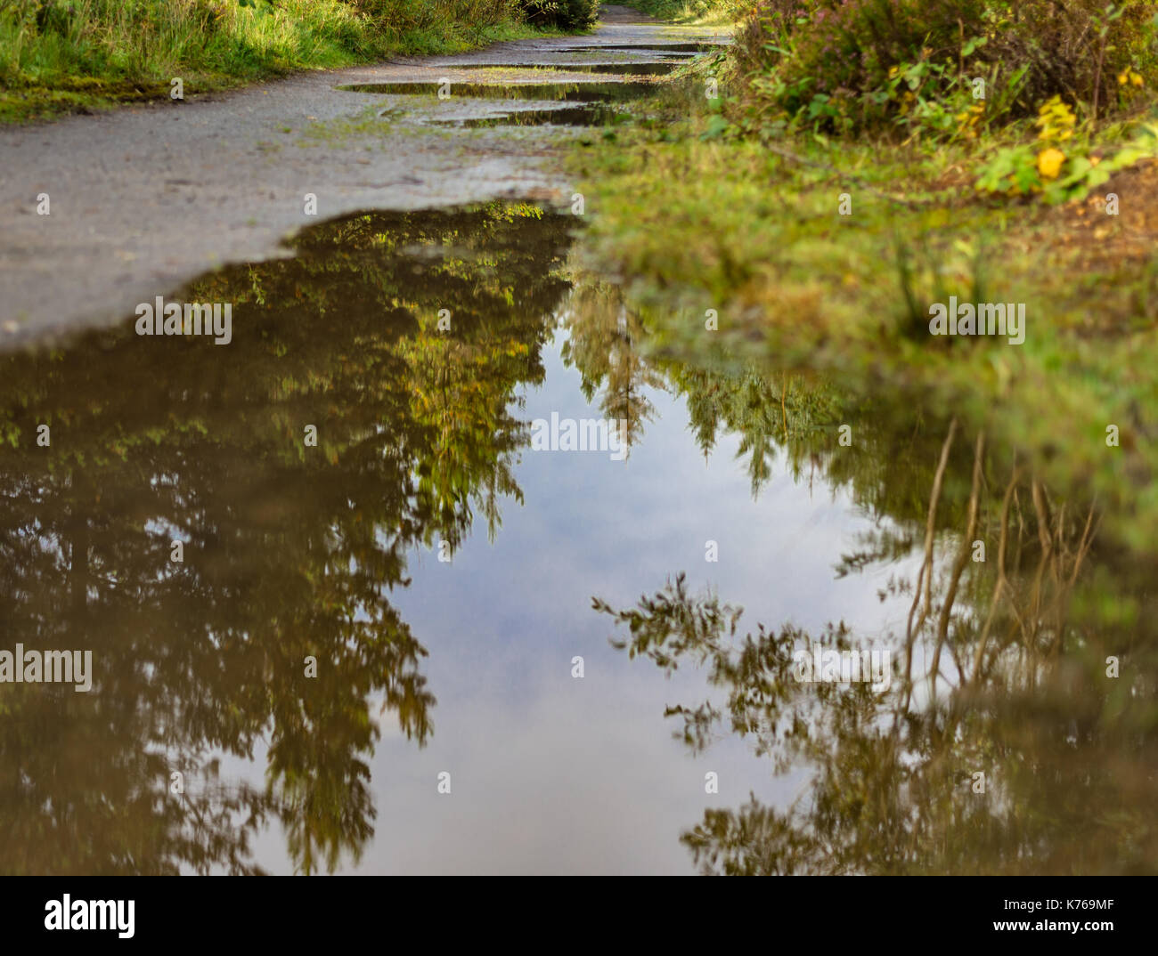 Rain Paddle High Resolution Stock Photography and Images - Alamy