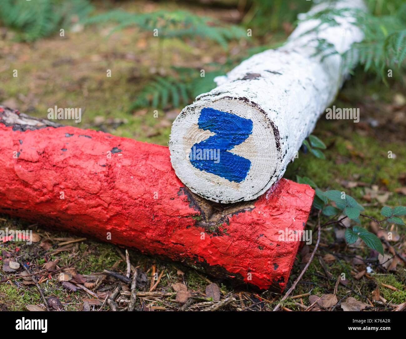 White and red painted logs, marked Z. Plantation scouts Stock Photo - Alamy