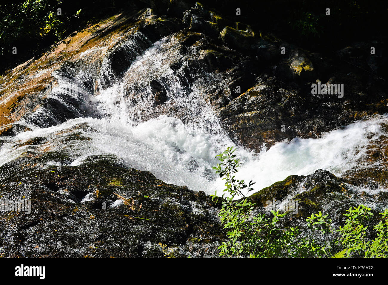 Sweet Creek Falls Waterfalls Stock Photo - Alamy