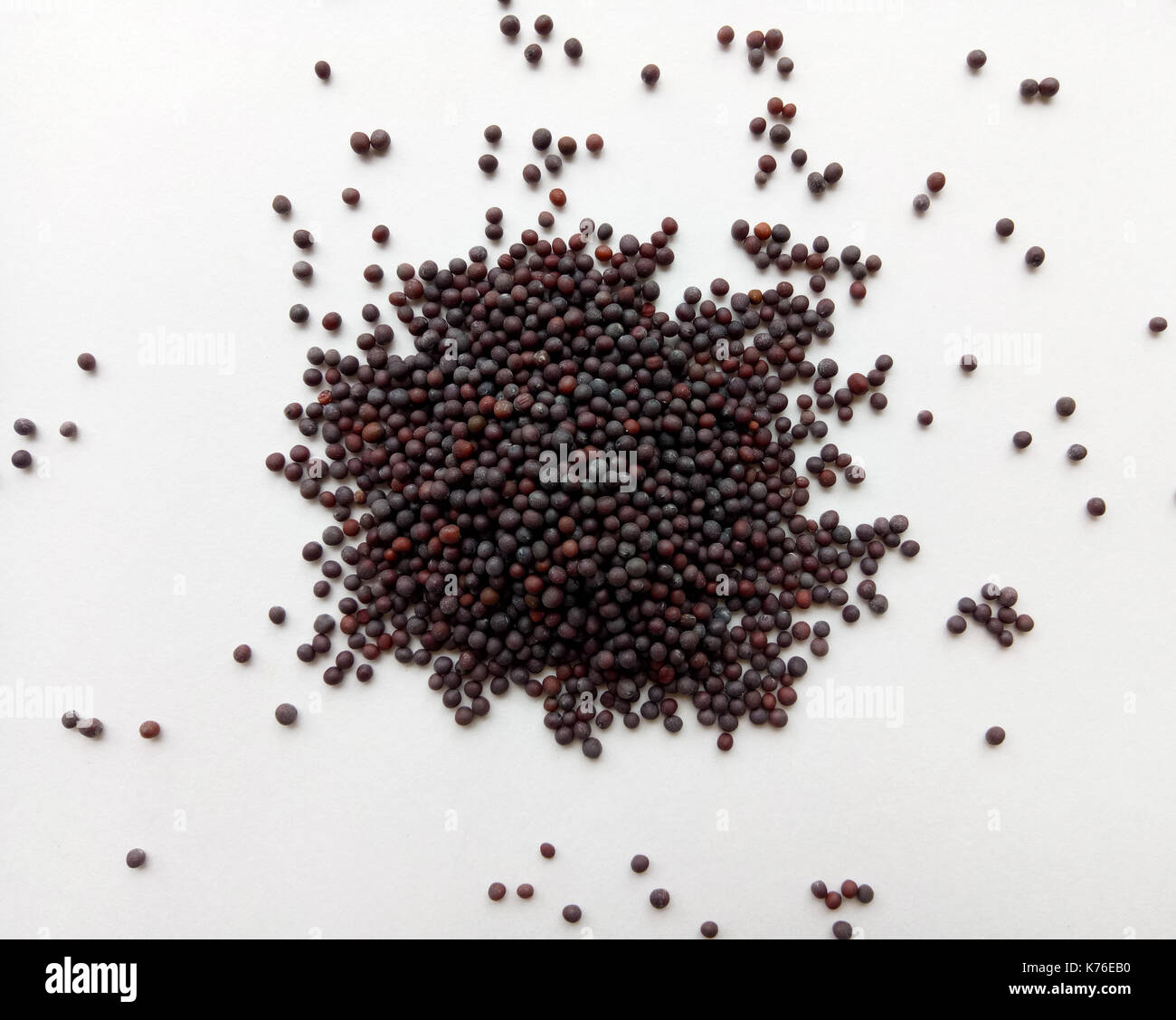 Close up dried mustard seeds hi-res stock photography and images - Alamy