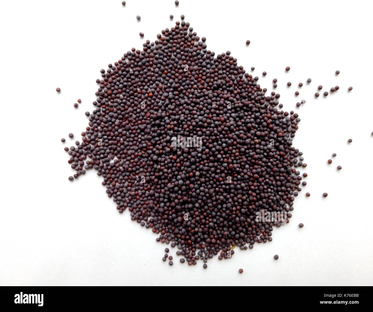 Jeera rai hi-res stock photography and images - Alamy