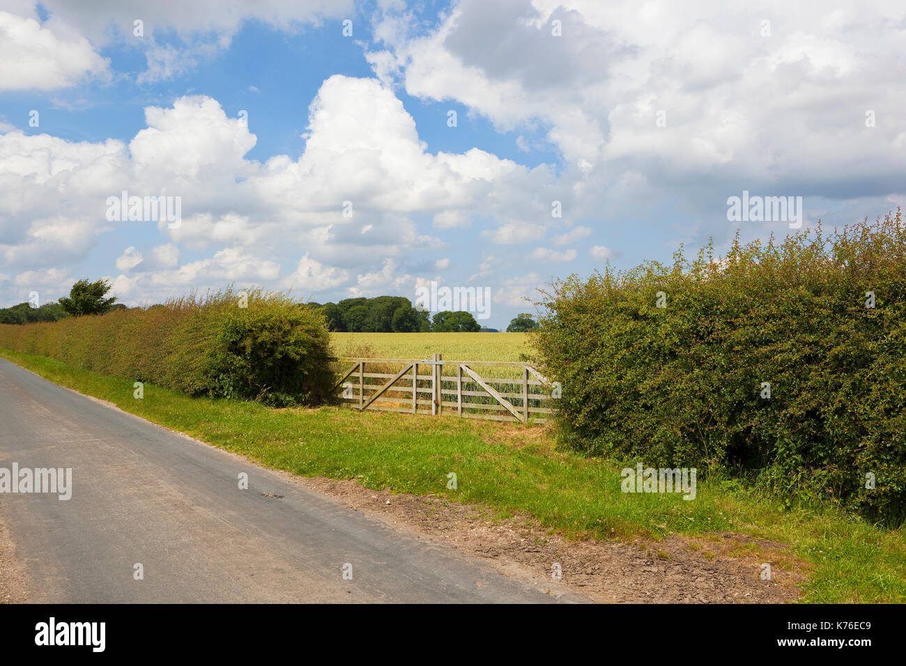 a small english country road in beautiful yorkshire wolds scenery with ...