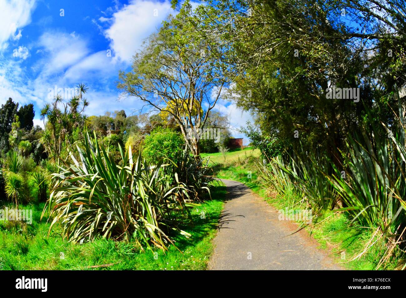 Fish eye perspective hi-res stock photography and images - Alamy
