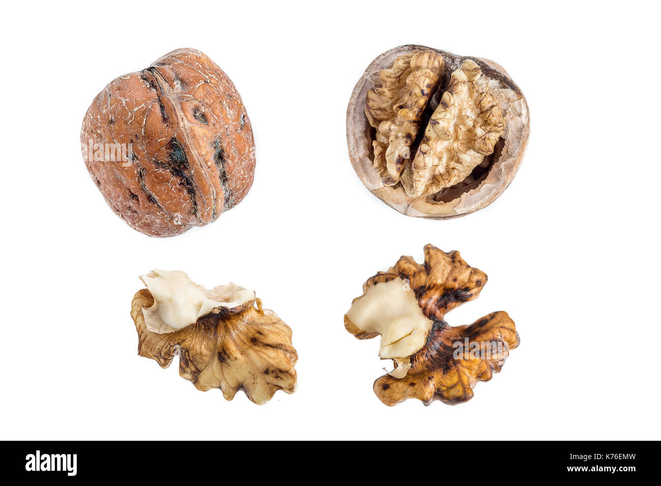 Walnut isolated on white background. With clipping path. on white Stock ...