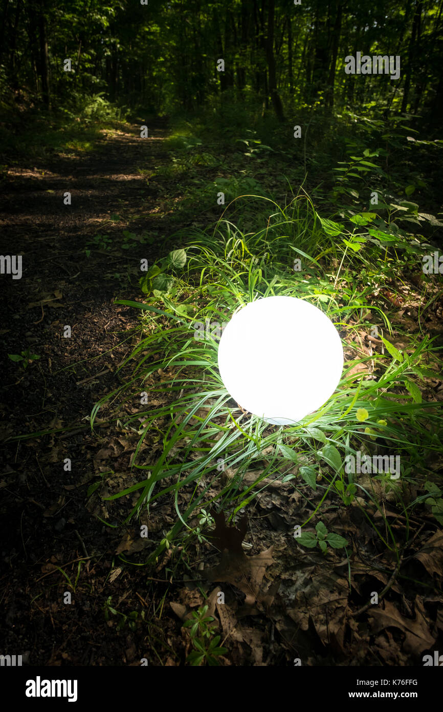 Bright glowing magic crystal ball in woods for fantasy imagery Stock ...