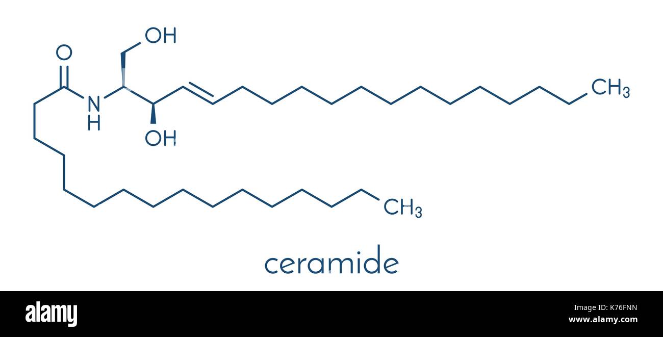 Ceramide cell Stock Vector Images - Alamy